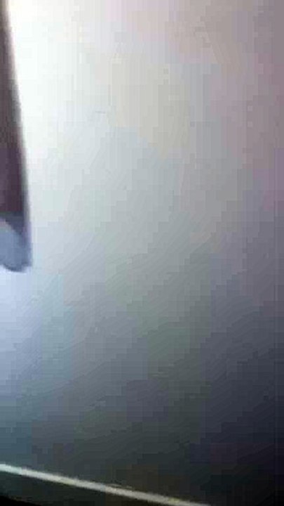 Voilà ce que je pense de la vidéo de Mild Animals - Vidéo Dailymotion