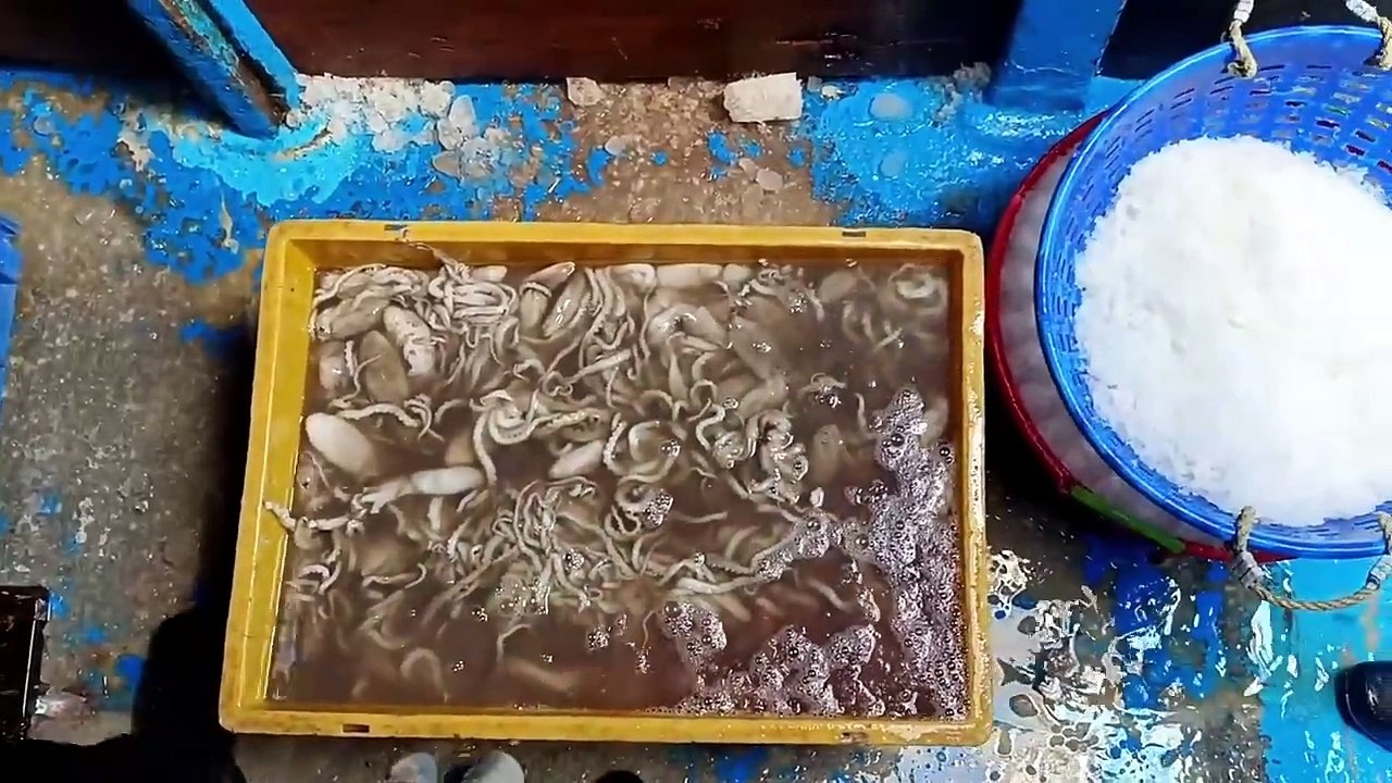 Bunder, Market fish harbour_Boat exploring_Fish market #bunder # ...