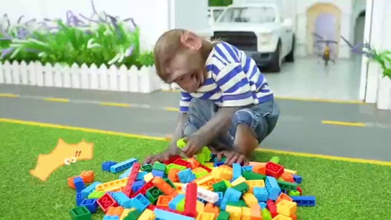 Monkey_Baby_Bon_Bon_plays_with_Funny_Balloons_and_ - video Dailymotion