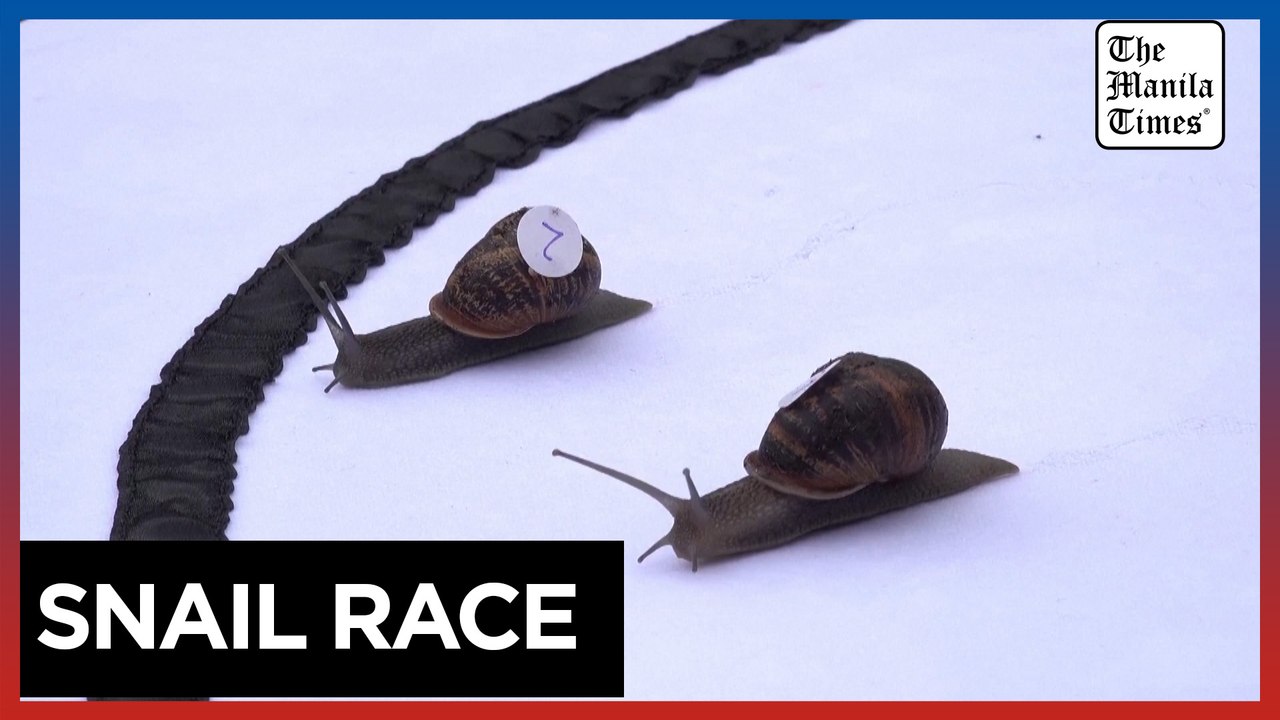 Snails slug it out at racing world champs - video Dailymotion