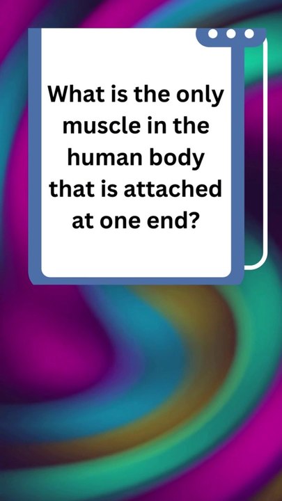 Test Your Genius: Fun and Challenging Body Parts Riddles with Answers ...