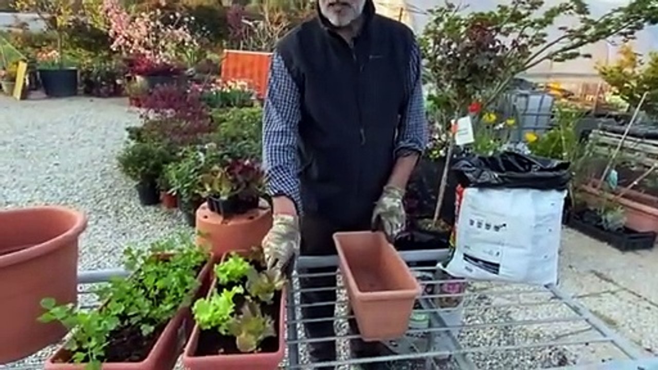 Trasforma il tuo balcone in un mini-orto urbano: idee e consigli ...