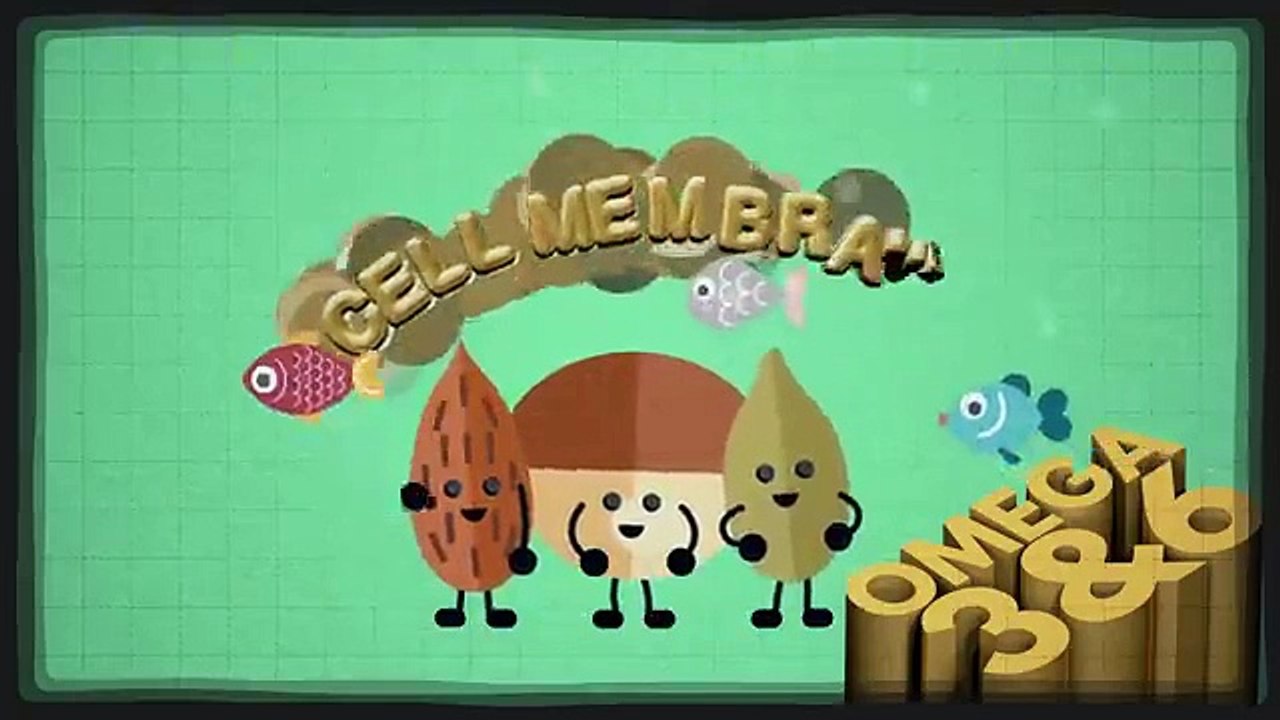 How the food you eat affects your brain - Mia Nacamulli - video Dailymotion