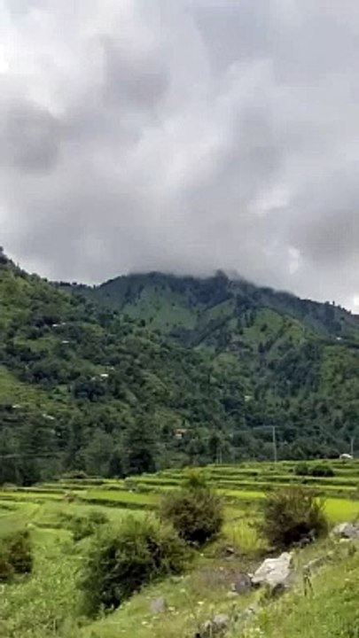 #Leepavalley#AJK#Azadkashmir#forest#beautifulpakistan - video Dailymotion