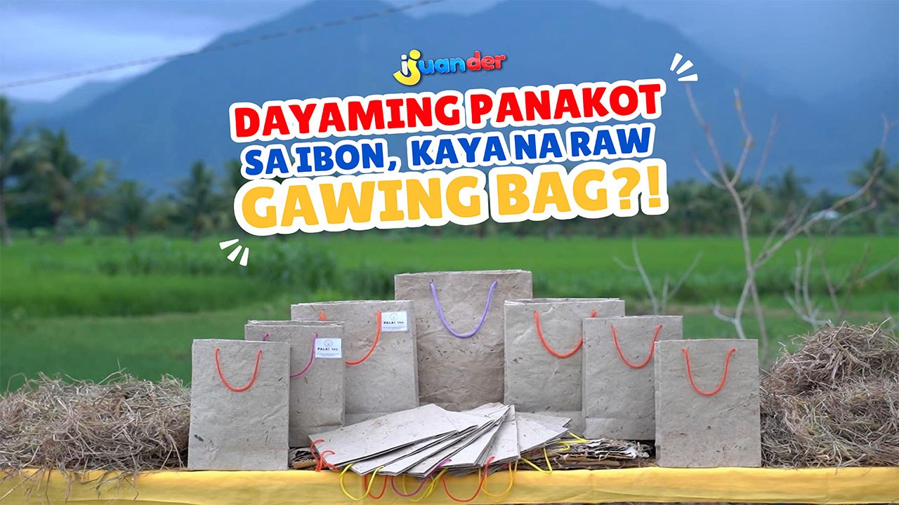 Dayaming panakot sa ibon, kaya na raw gawing bag?! | I Juander - video ...