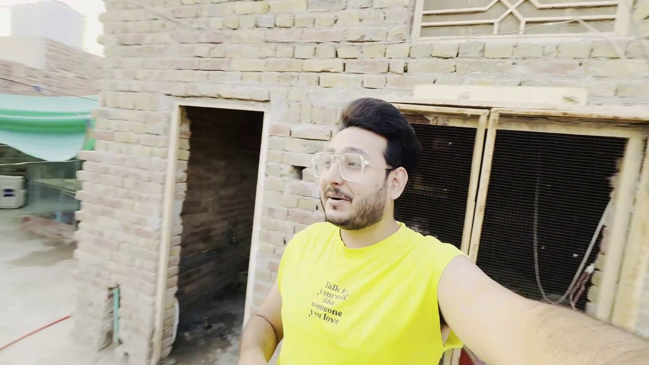 White Shammoo Ki Breed Start - video Dailymotion