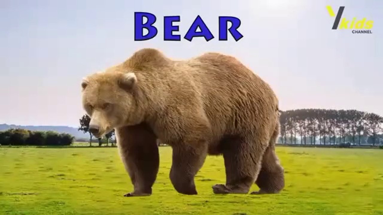 WILD_ANIMALS___Learn_Wild_Animals_Sounds_and_Names_For_Children,_Kids ...