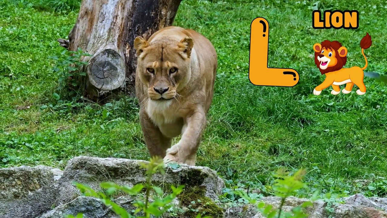 Lion Poem for Kids Fun and Educational Learn About Lions Animal Poems ...