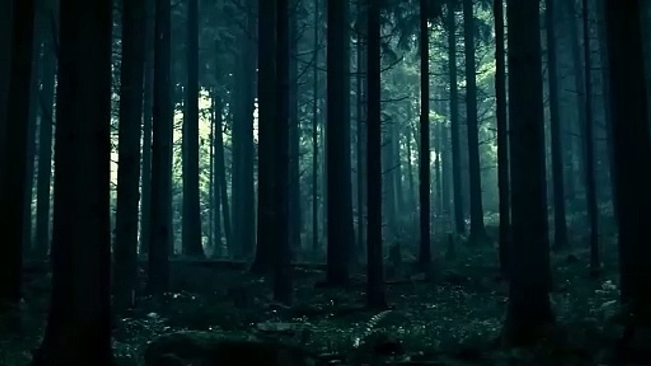 Nature Beautiful short video 720p HD(720P_HD) - video Dailymotion