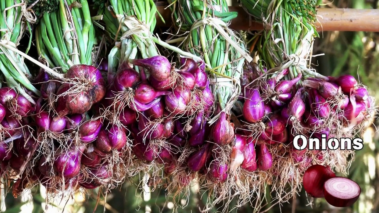 ABC Learning New Song, O is for Onion Fun ABC Learning for Kids ...