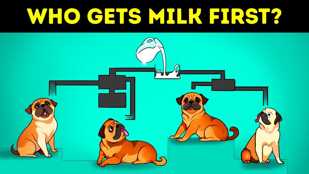 New Impossible Riddles Only You Can Solve - video Dailymotion