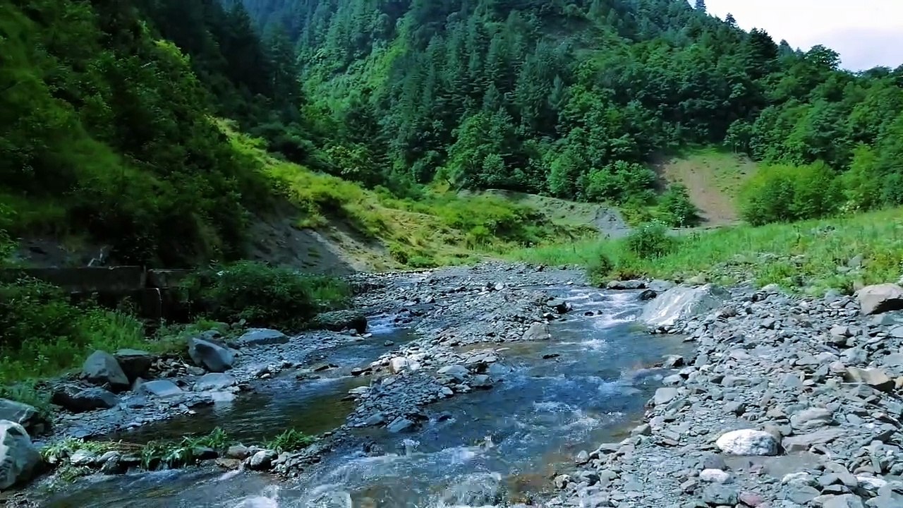 Discover Pattan Kalan: A Undiscovered Natural Beauty in Galyat ...