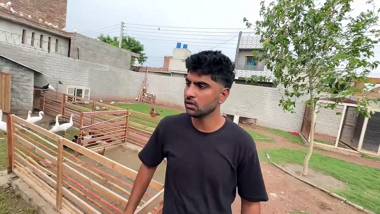 shehar mein dehat ep 3 animal video - video Dailymotion