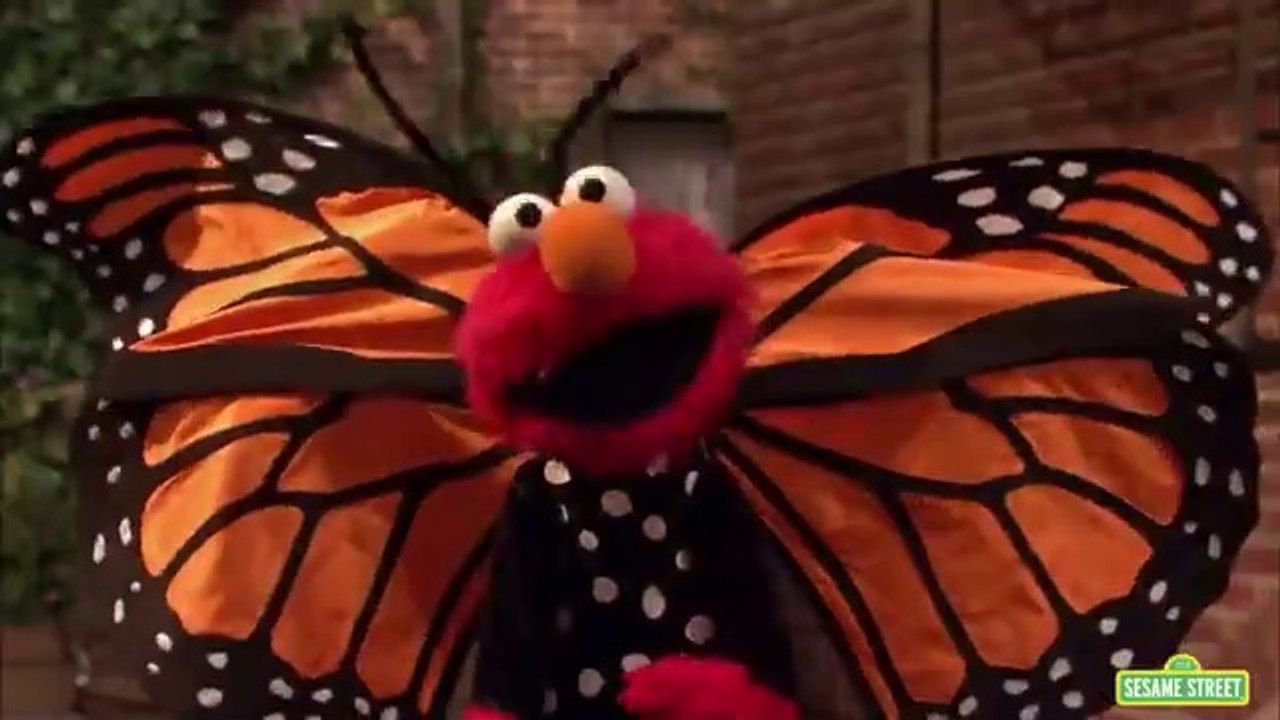 Elmo's Butterfly Friend | Sesame Street Full Episode. - video Dailymotion