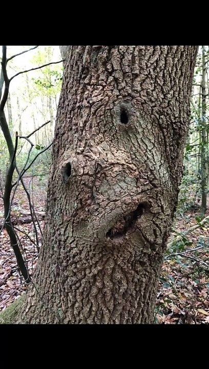 Seeing Faces in Everyday Objects - Part 80 - video Dailymotion