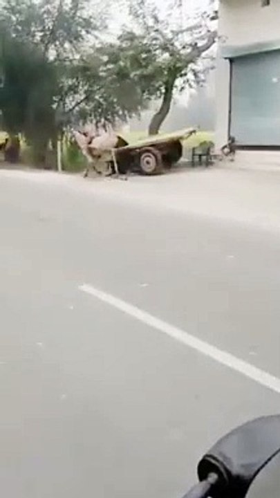 Racing without driver | funny racing car without driver| running ...