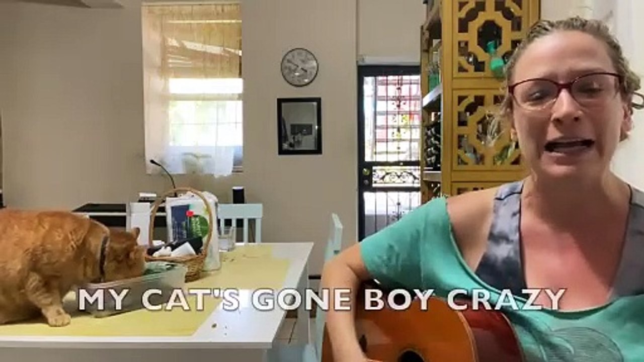 Boy Crazy: When Your Cat Unexpectedly Starts Crushing On Every Man In ...