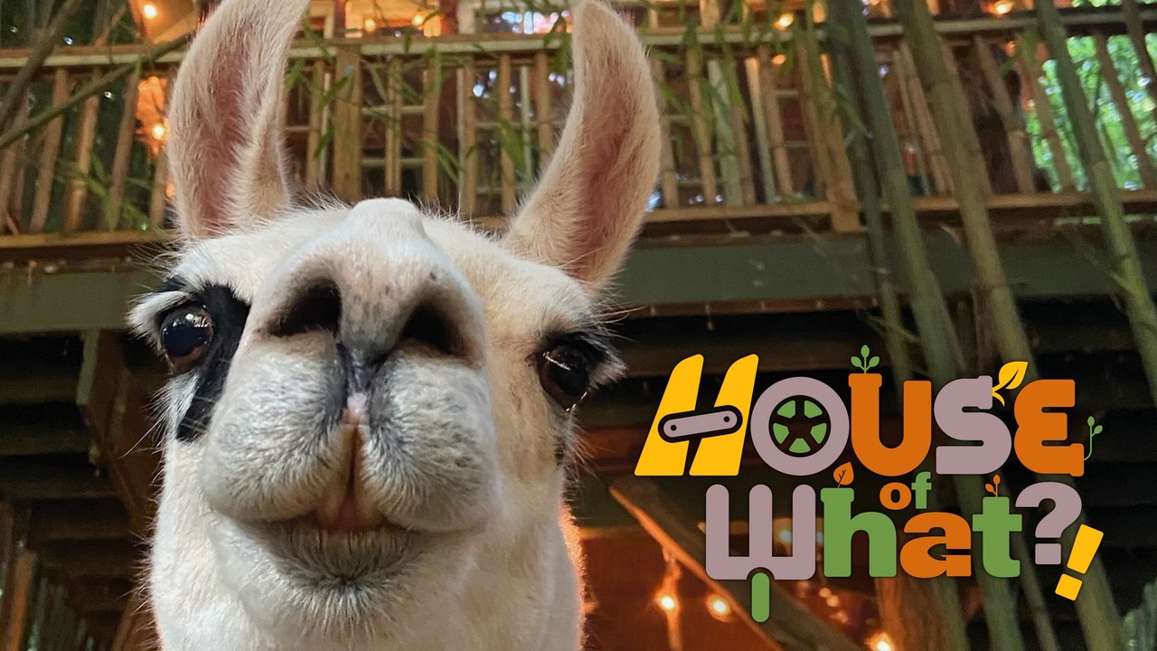 An Intergenerational Treehouse Treasure | House of What?! Clip | EarthX ...