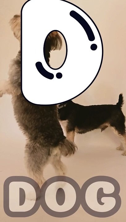 ABC Phonic, D is for Dog, ABC Song, ABC Animal song, Learn with Fun ...