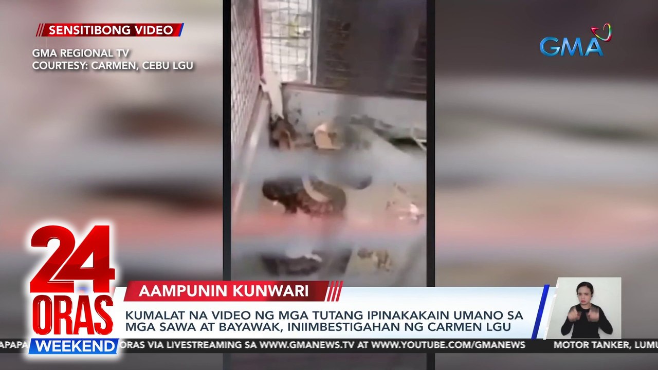 Kumalat na video ng mga tutang ipinakakain umano sa mga sawa at bayawak, iniimbestigahan ng ...