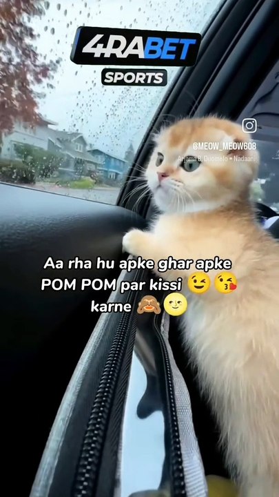 Pom pom kiss - video Dailymotion