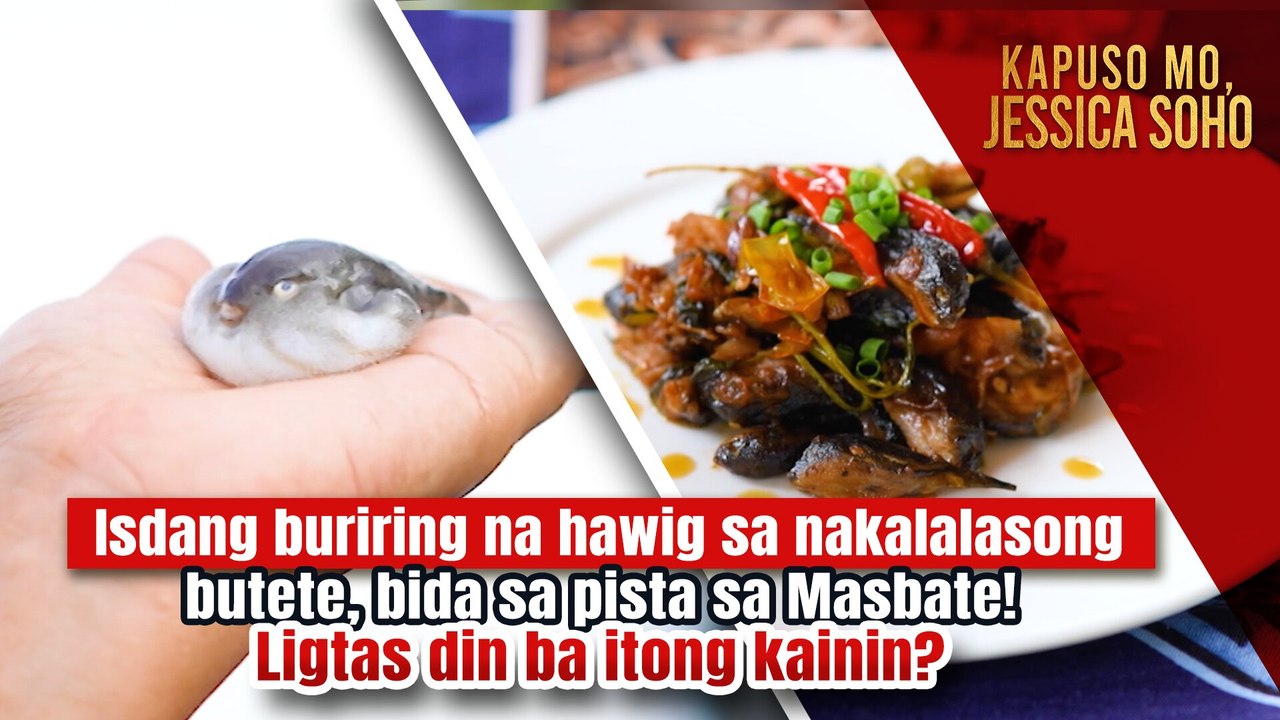 Isdang buriring na hawig sa nakalalasong butete, bida sa pista sa ...