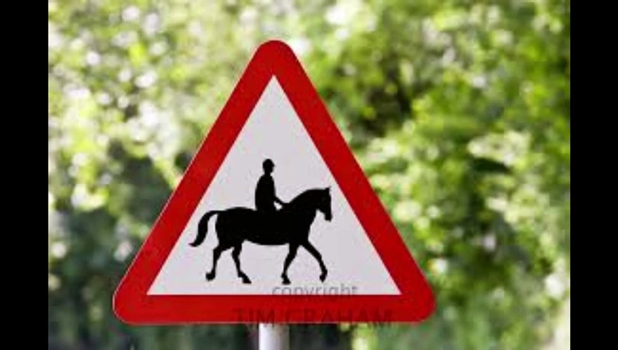 50 Important Road Signs That You must need to know_ #trafficsigns ...