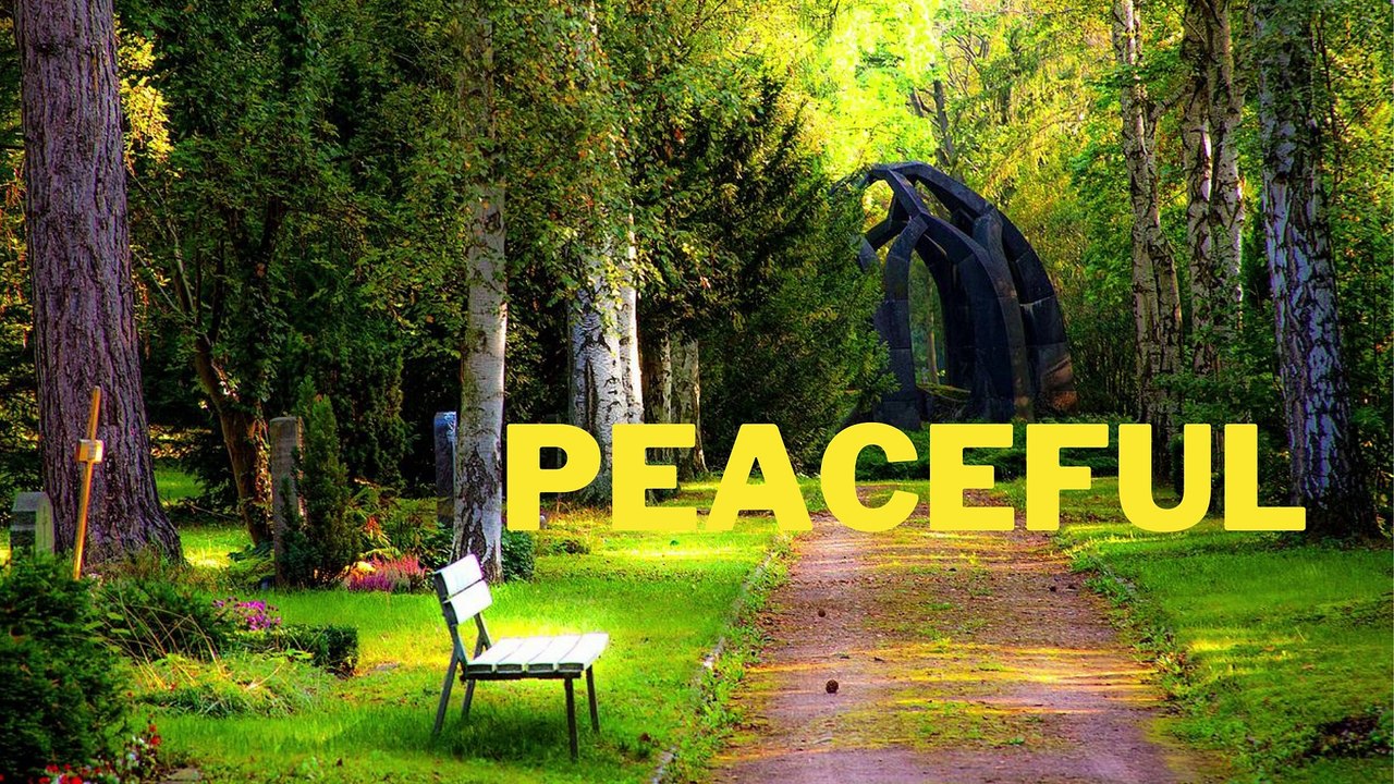 Peaceful Music RFM | No Copyright Music - video Dailymotion