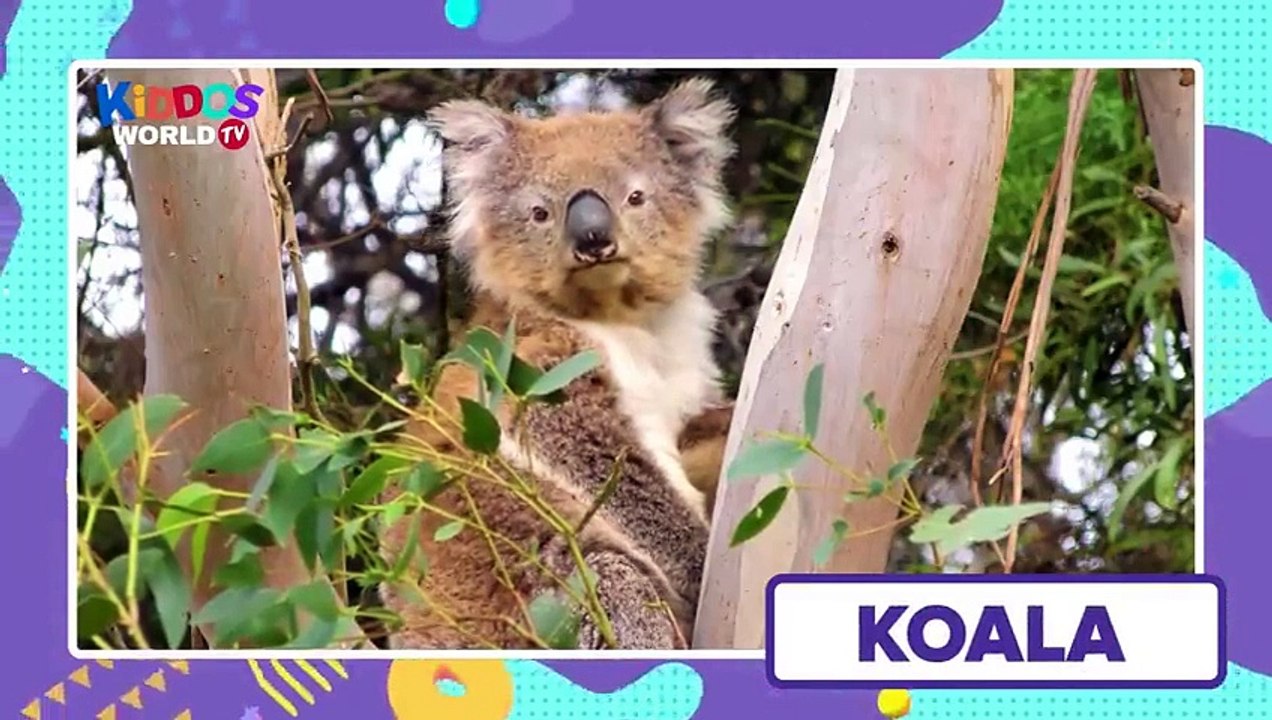 How to Write Letters for Children - Teaching Writing ABC for Preschool ...