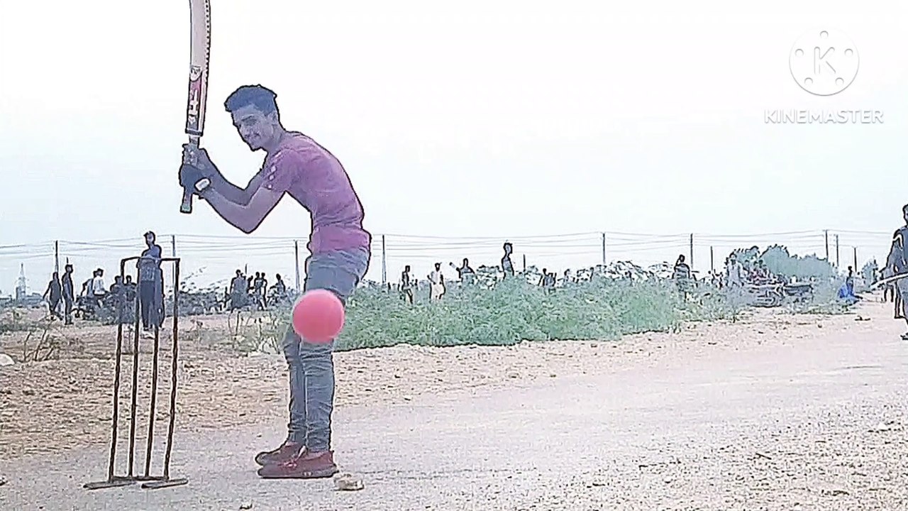 Cricket Ball Hit the Head - video Dailymotion