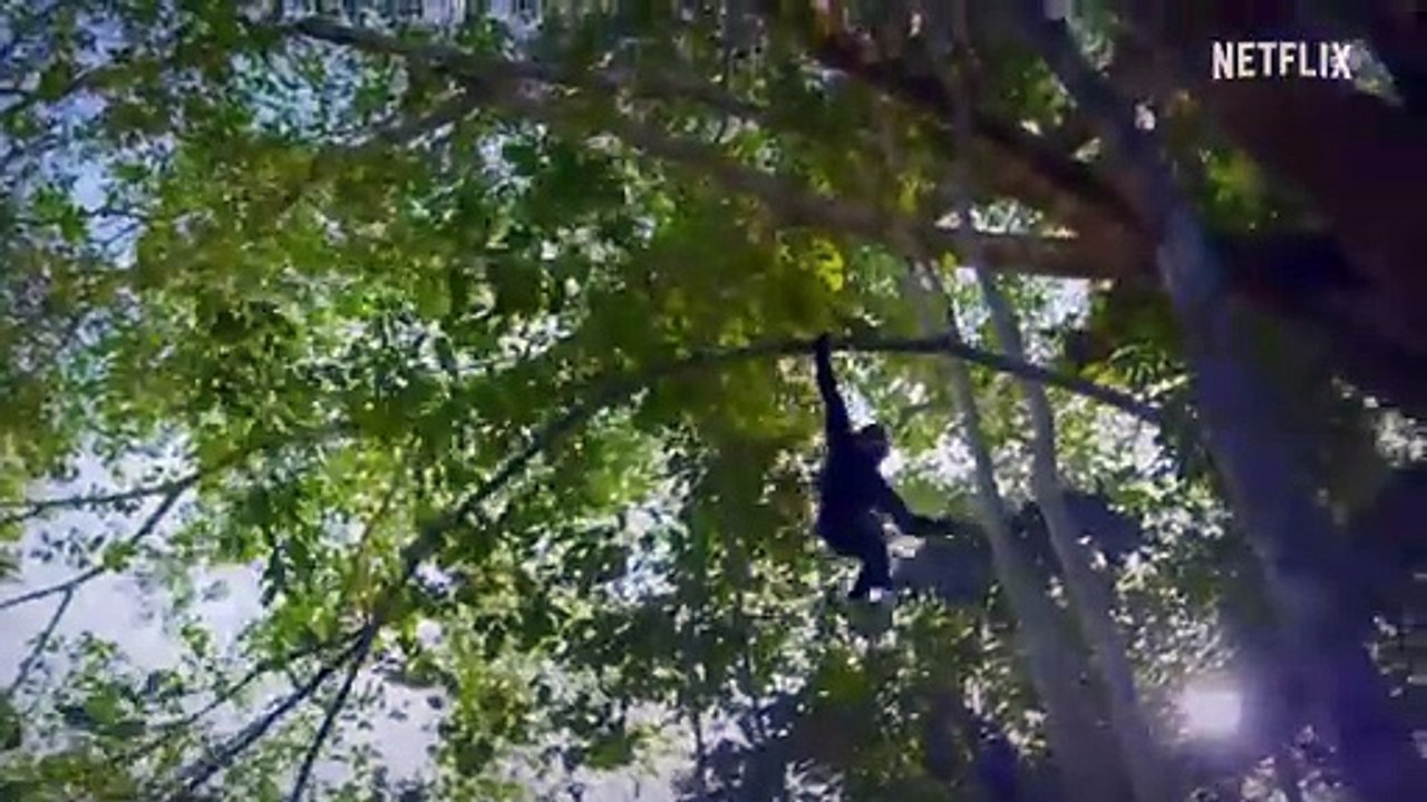 Secret_World_of_Sound_with_David_Attenborough___Official_Trailer ...