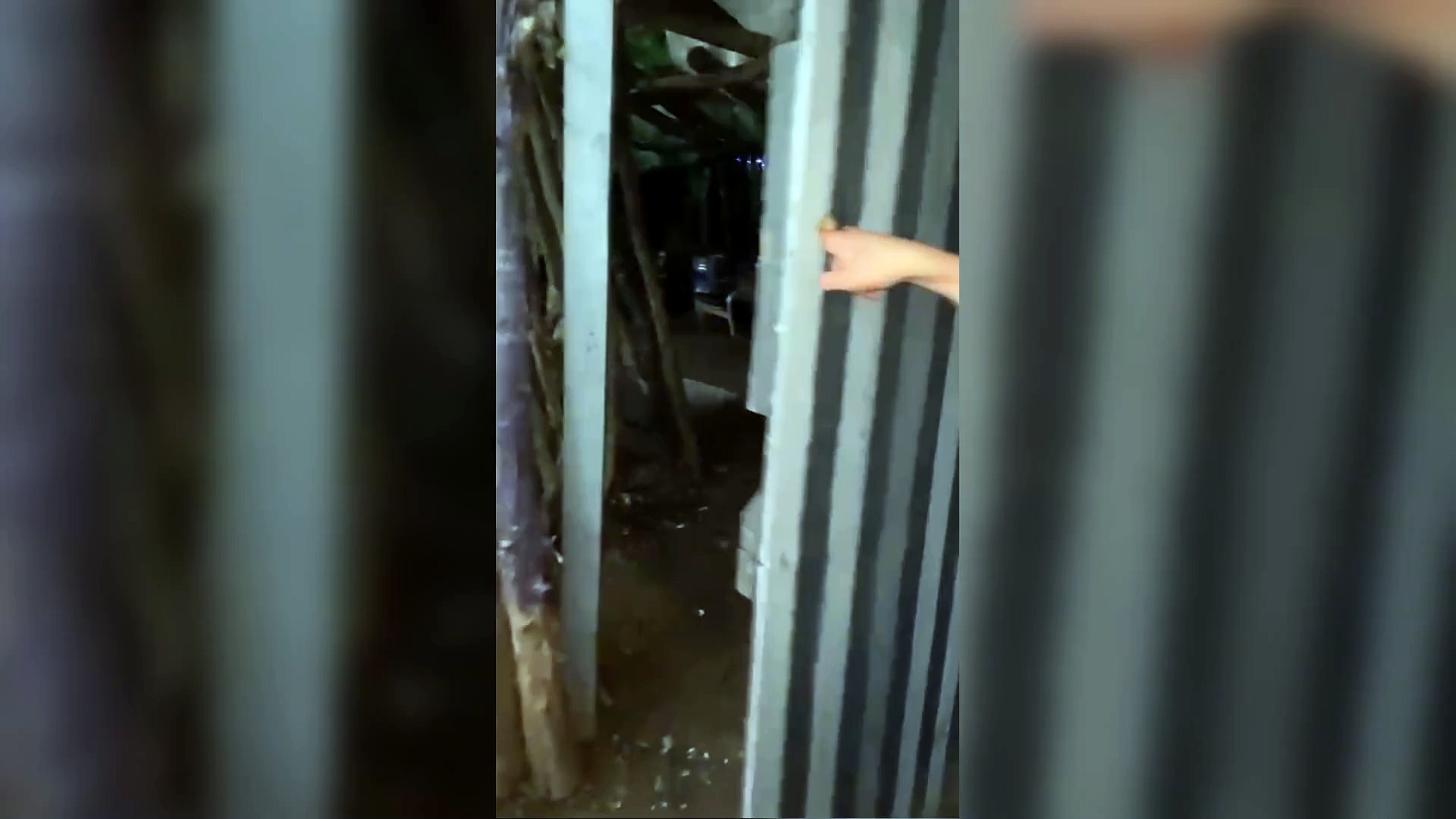 Inside the treehouse in Hermitage Lane woods, near Bartlett Way, Maidstone