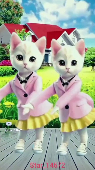 Two cats dancing ♥️ #youtube #cute #001 @starplus - video Dailymotion