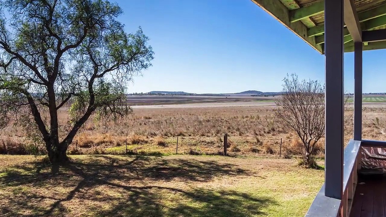 Felton Park, Back Plains, Qld | August 7, 2024 | Farmonline - video ...