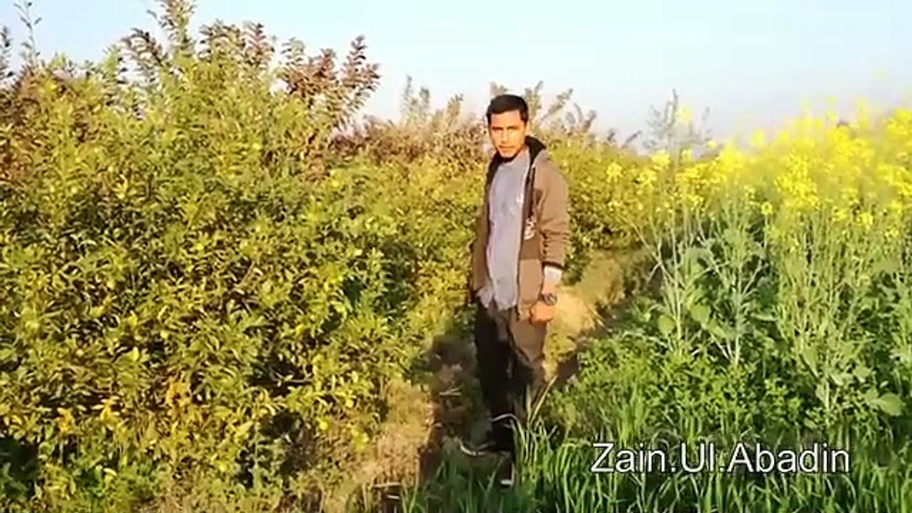Village Vlog _ Zain Ul Abadin - video Dailymotion