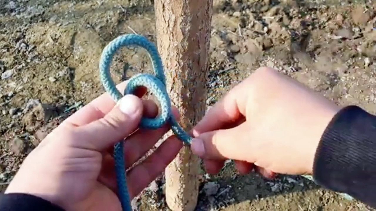 In 2 minutes you will learn how to tie the world famous knots | Magic ...