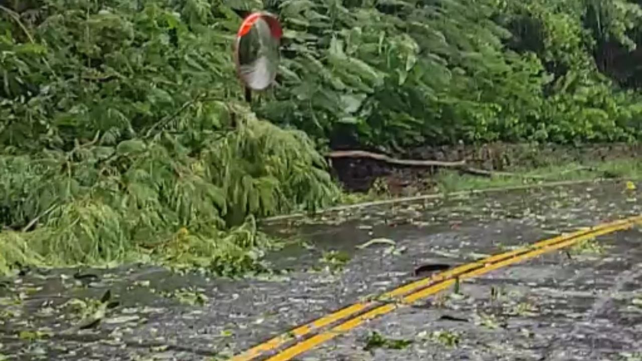 Gripping footage from Taiwan reveals a glimpse of the devastating ...