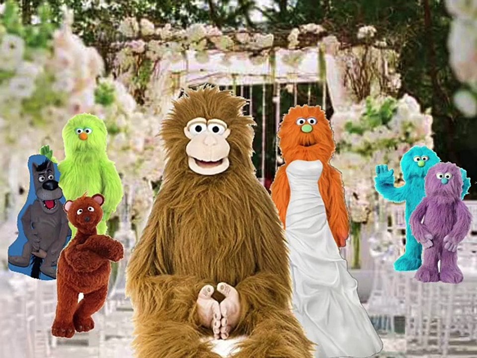 Sesame Street - Monster and Mimicking Monkey With at the Wedding ...