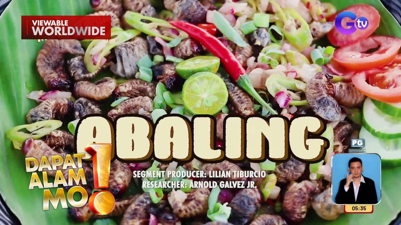 Uod na abaling sa Isabela, bida sa dinakdakan | Dapat Alam Mo! - video ...