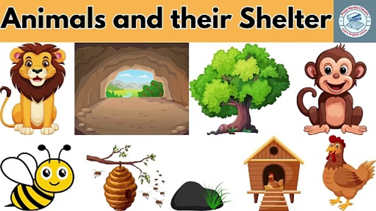 Animals and their shelter I Animal shelter for kids I Animals and their ...