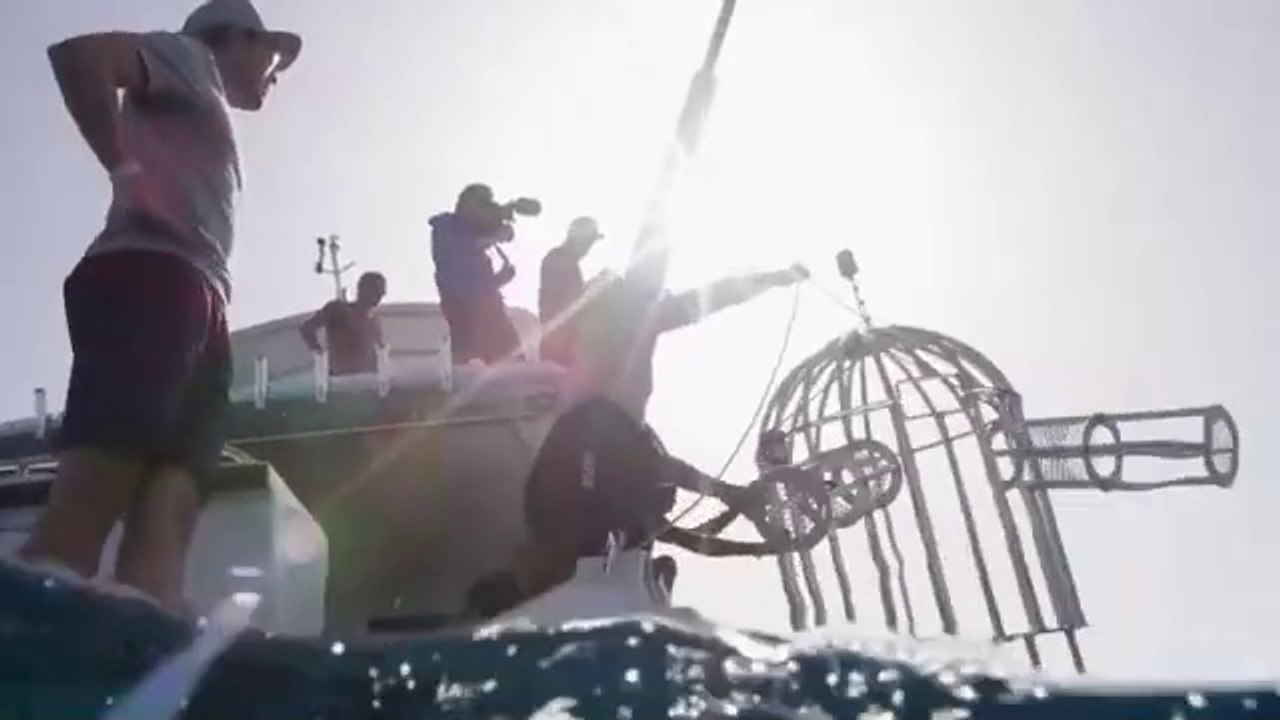 (हिंदी) Shark Attack Test- Human Blood vs. Fish Blood | Mark Rober ...