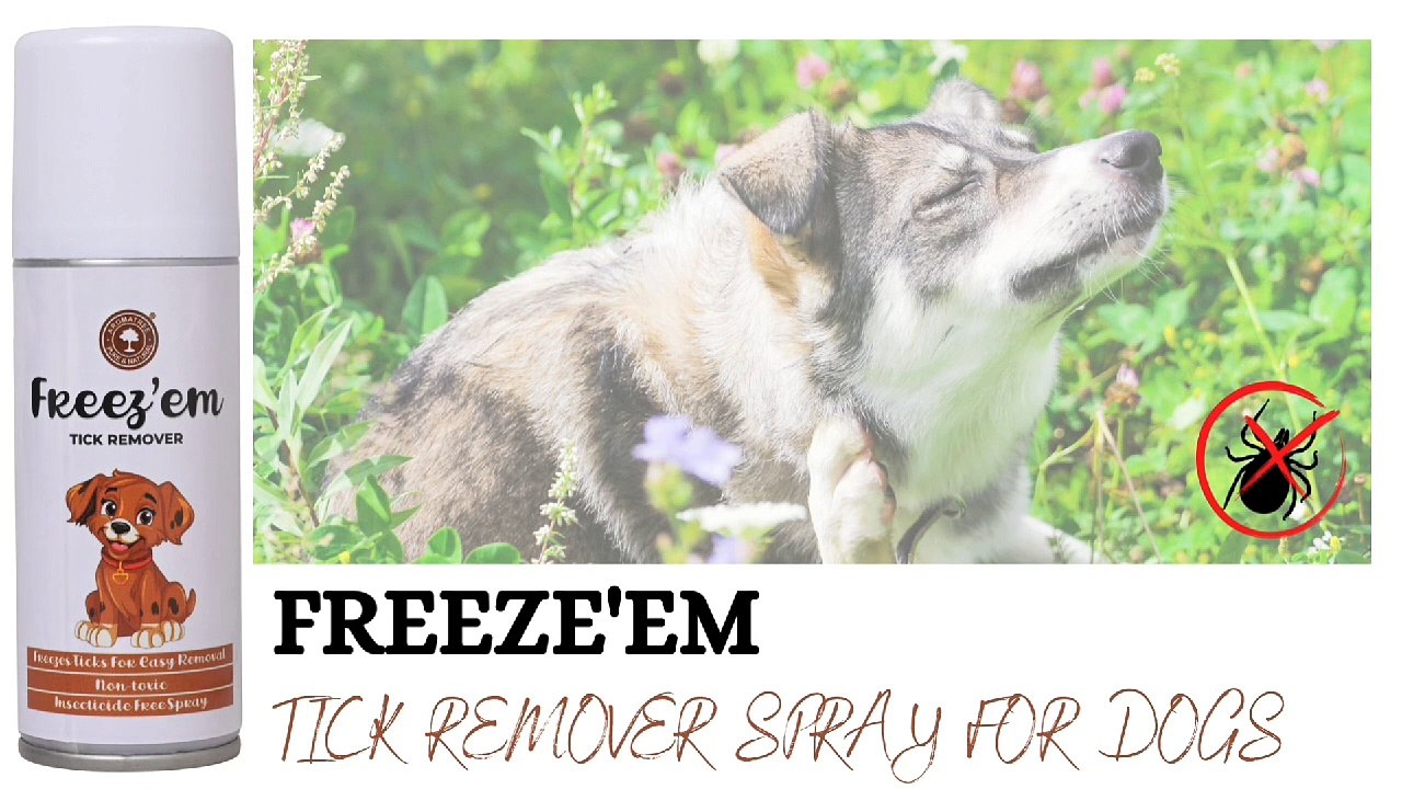 Tick Remover Video - video Dailymotion