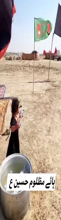 Karbala Arbaeen Walk 2024 | Safar E Ishq E Imam Hussain a.s | A Journey ...