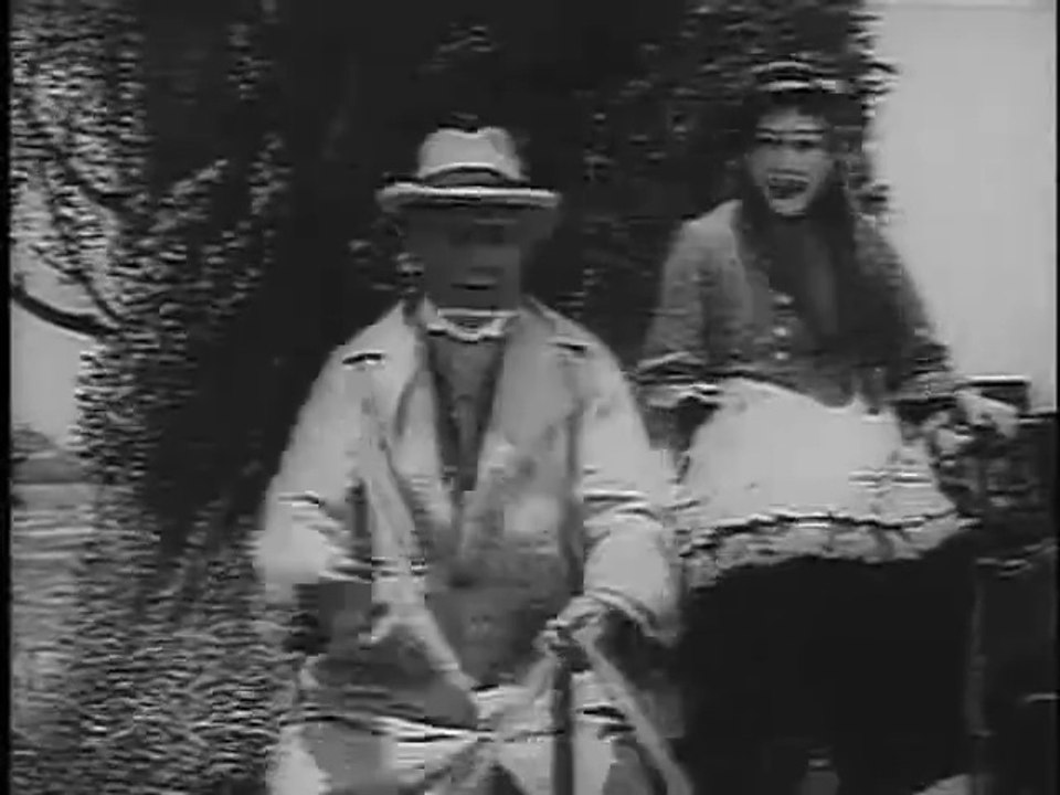 Rebecca Of Sunnybrook Farm (1917) Mary Pickford, Eugene O'Brien, Helen ...