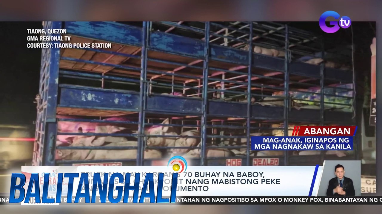 Truck na may kargang 70 buhay na baboy, tumakas sa checkpoint nang ...