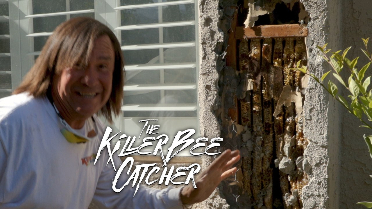 Breaking and Entering | The Killer Bee Catcher Clip | EarthX - video ...