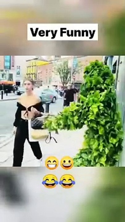 Compilation videos funny - video Dailymotion