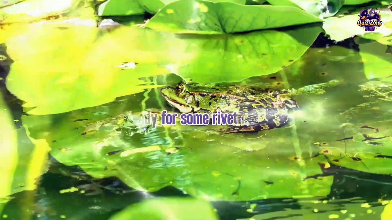 Discover the Real Frog Ability in This Quiz! #science_pub_quizzes ...