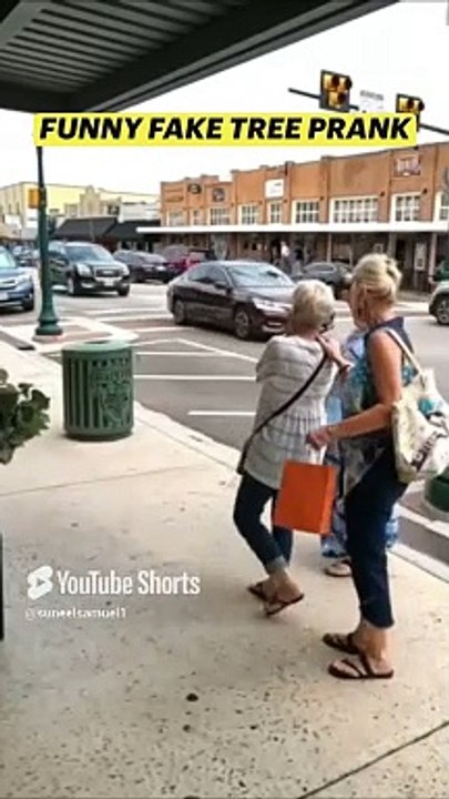 Funny fake tree prank #shorts #viralvideo - video Dailymotion