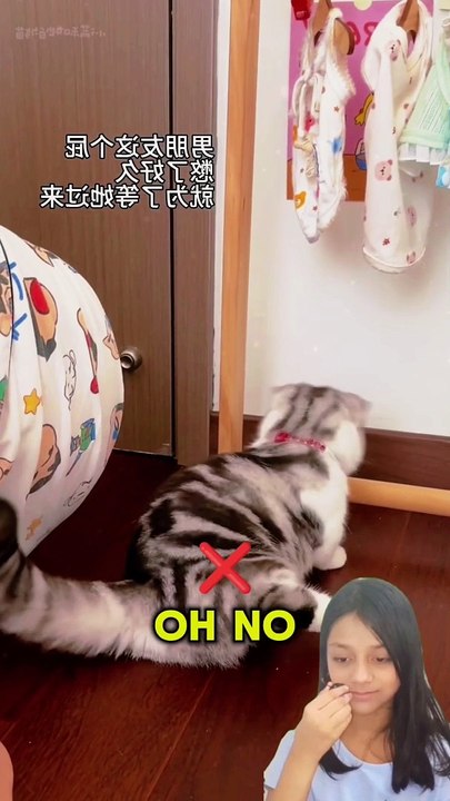 Ohh Noo.. - video Dailymotion